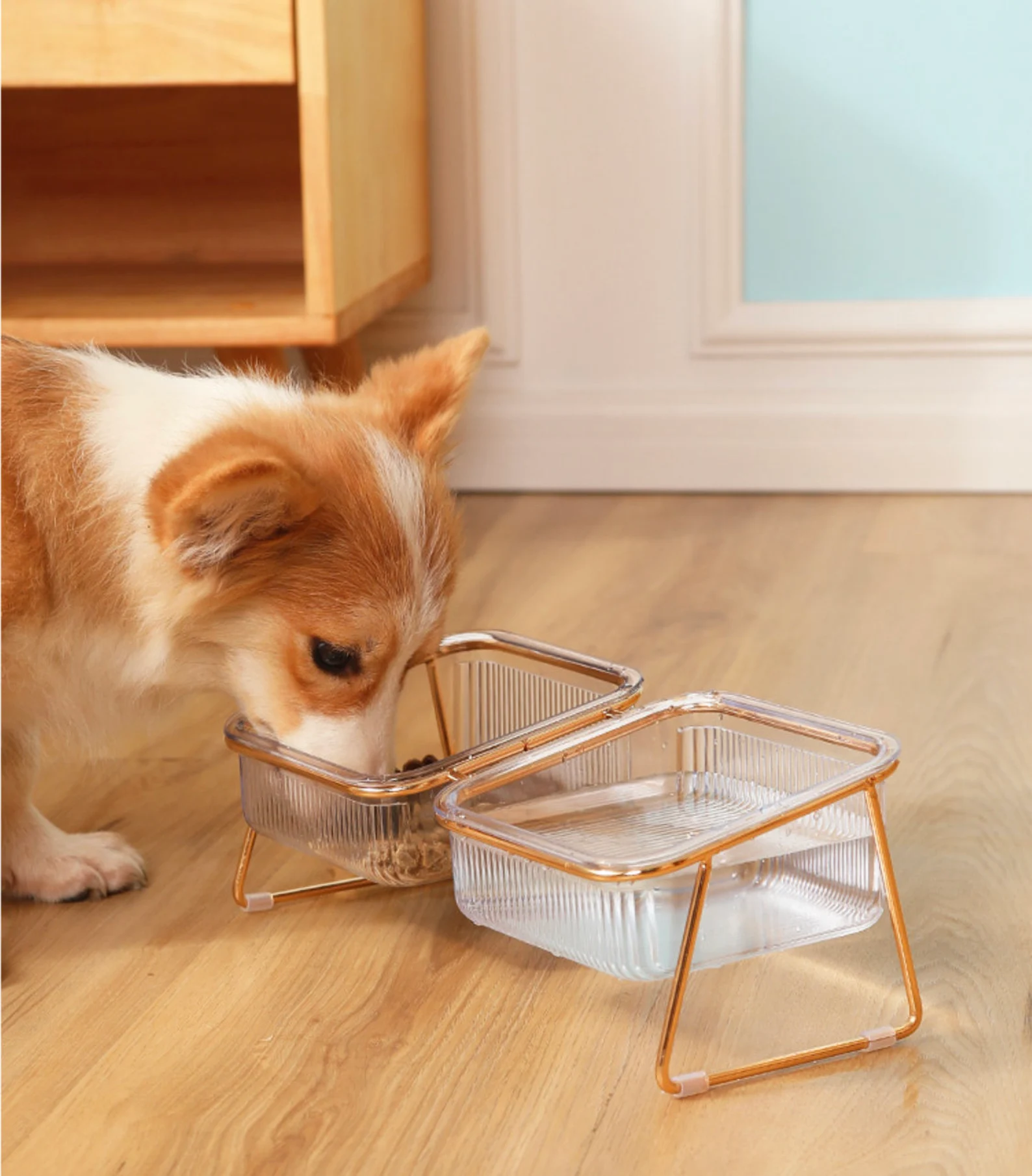 @Djwills - Chic Pet Aesthetics: Elevate Your Furry Friend's Style - Benable